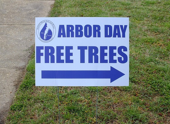 Arbor Day Trees